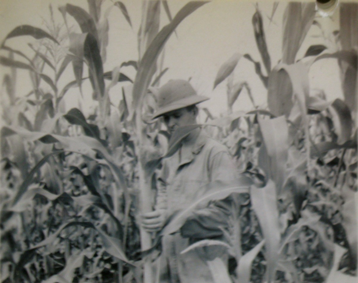 Cpl. Walter Mitchell ran a truck farm on Guadalcanal during WW II | War ...